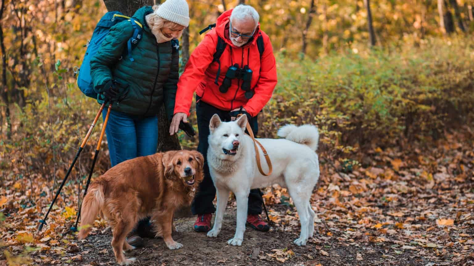 Socializing your Dog and Why you should do it - AnxiousCanine.com